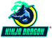 Premium Metal Gaming Keyboard and Mouse Set by Ninja Dragons V1X – Onetify