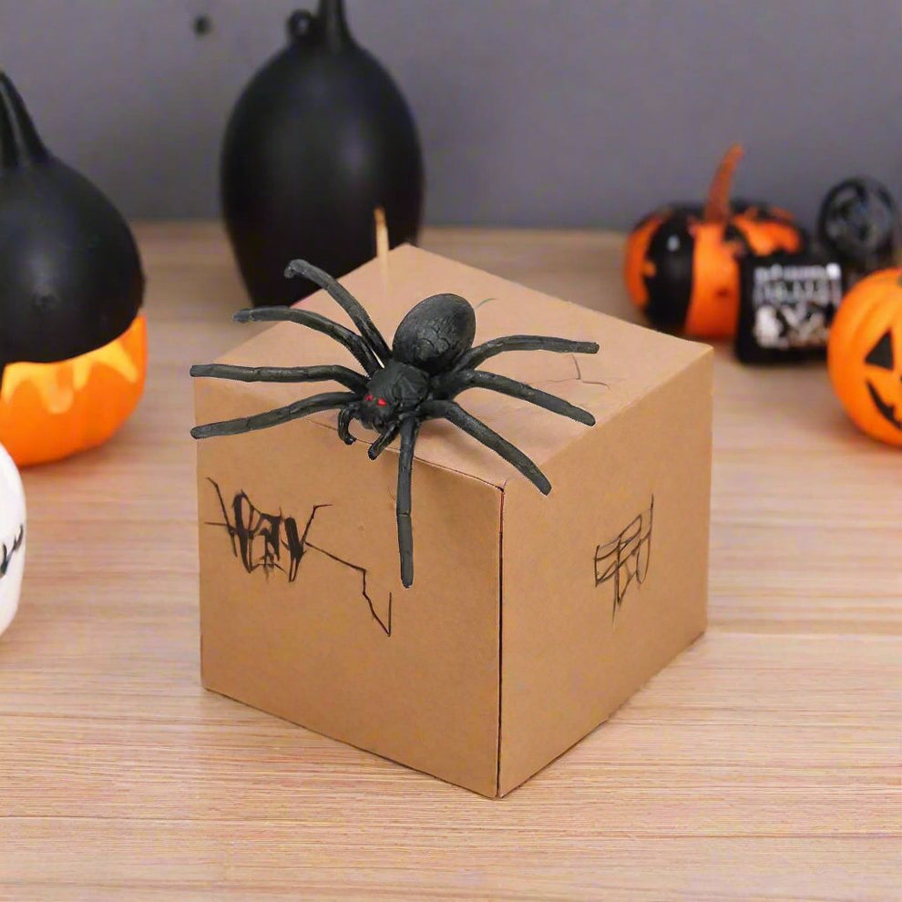 Pop Up Spider Scare Prank Box – Onetify