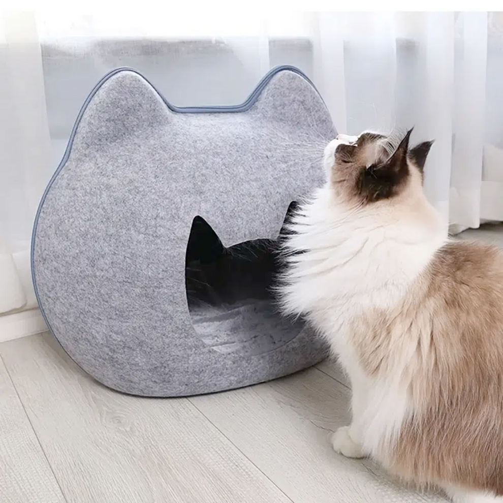 Adorable Cat Shape All Season Pet House – Onetify