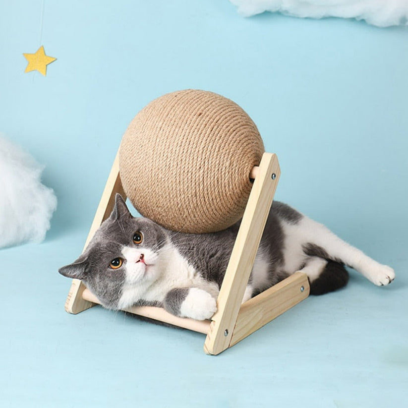 Cat Scratching Ball Toy – Onetify