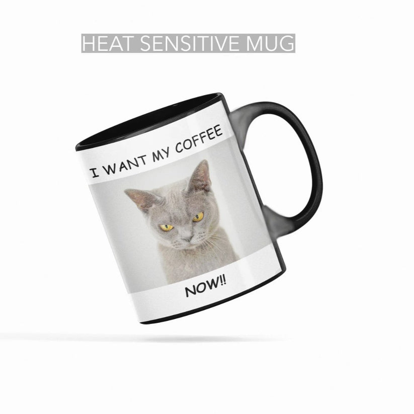 Heat Sensitive Cat Loves Coffee Ceramic Color Changing Mug – Onetify